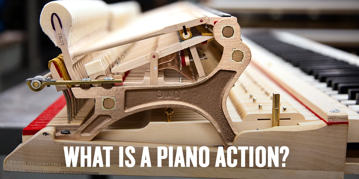 Piano action refers to the network of levers, hammers, springs, and ...